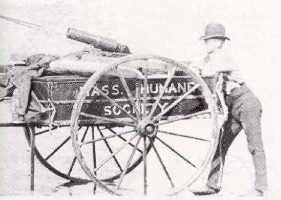 20179. Freitas, Fred and Dave Ball. WARNINGS IGNORED! The Story of the ...